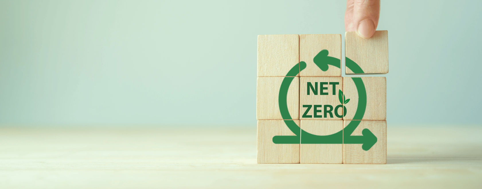 Net Zero by 2050: Leading the Way in Supply Chain Carbon Reduction